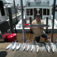 David Humm Biography, Videos - FamousWhy